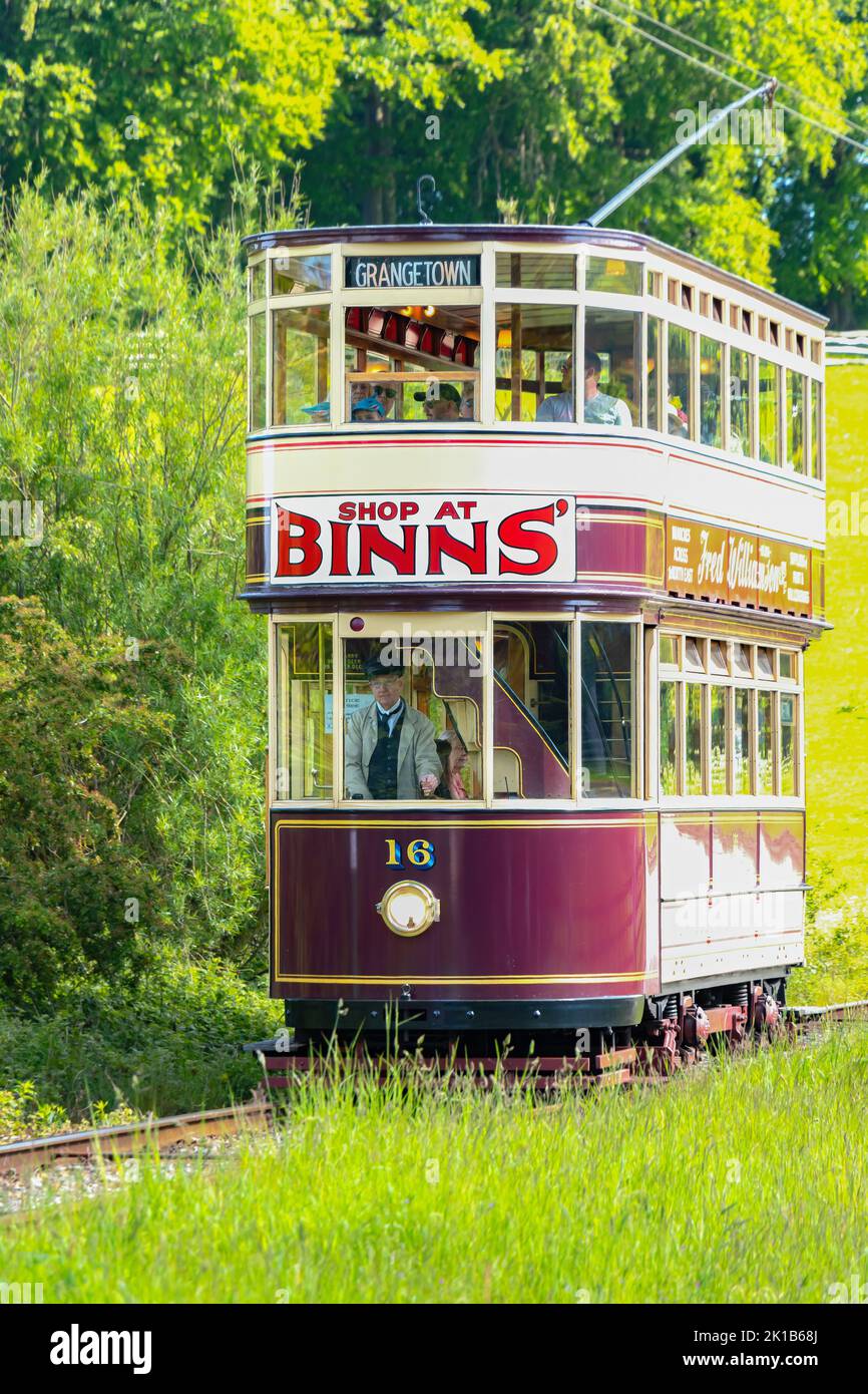 vintage electric tram in maroon with Binns store advertising at Beamish ...