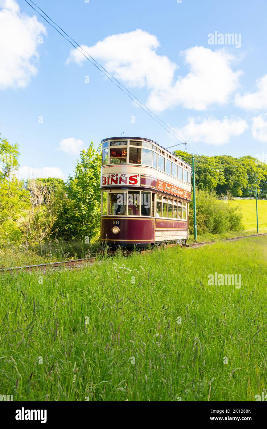 vintage electric tram in maroon with Binns store advertising at Beamish ...