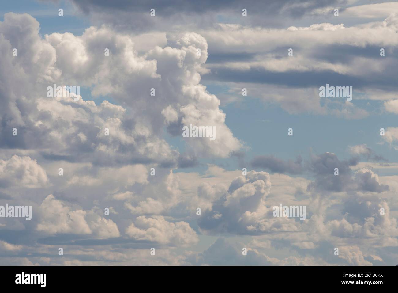 Sunlight from side hi-res stock photography and images - Alamy