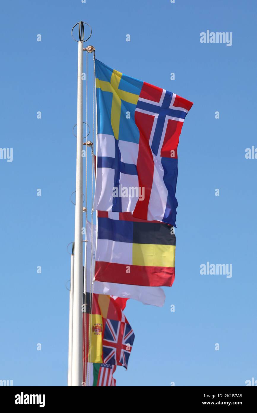 many international flags united all together during the meeting between ...
