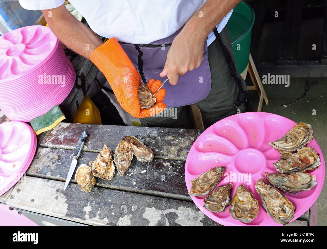 oyster seller opening shells with knitted glove and knife in the fish ...