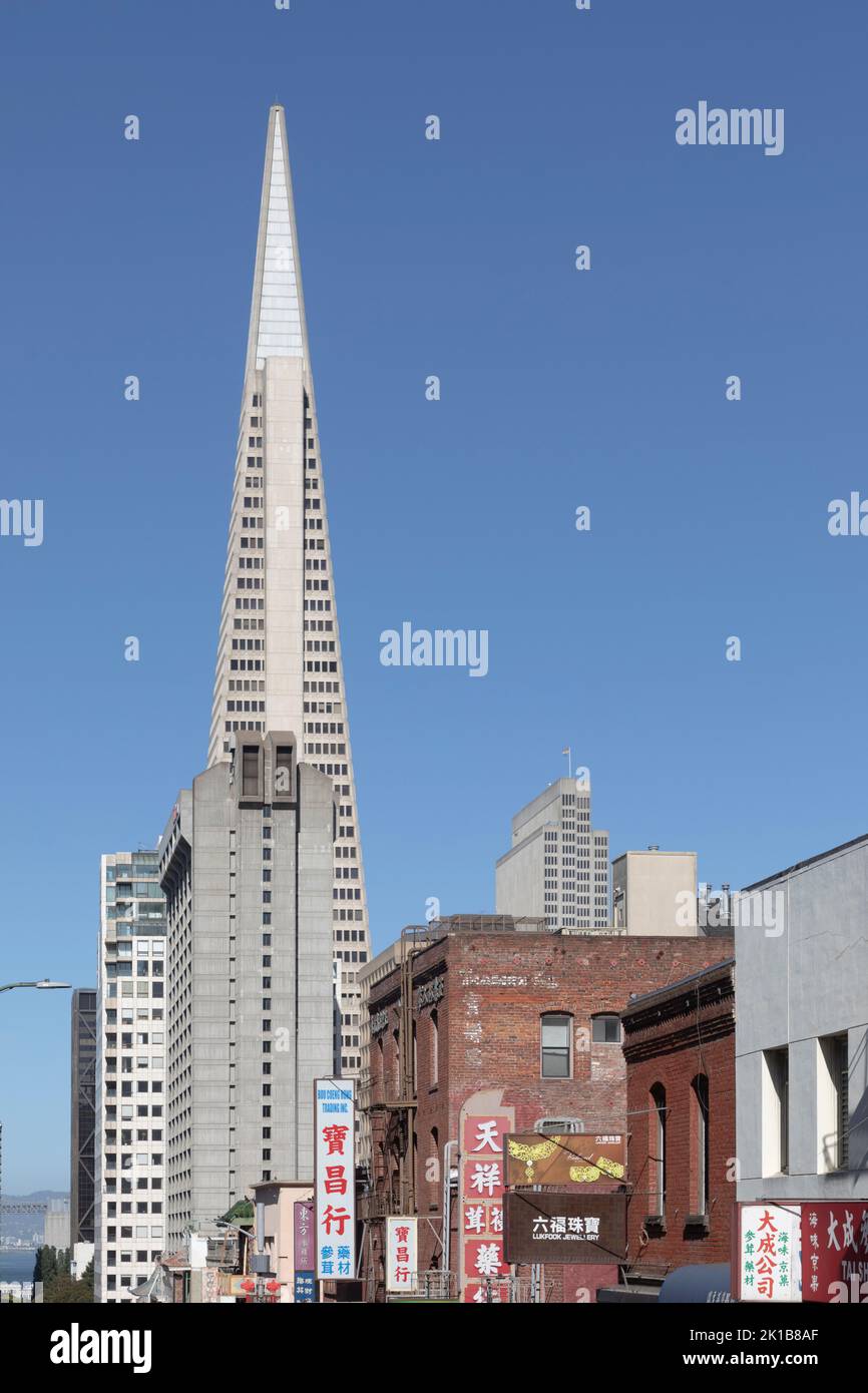 Transamerica (2022)