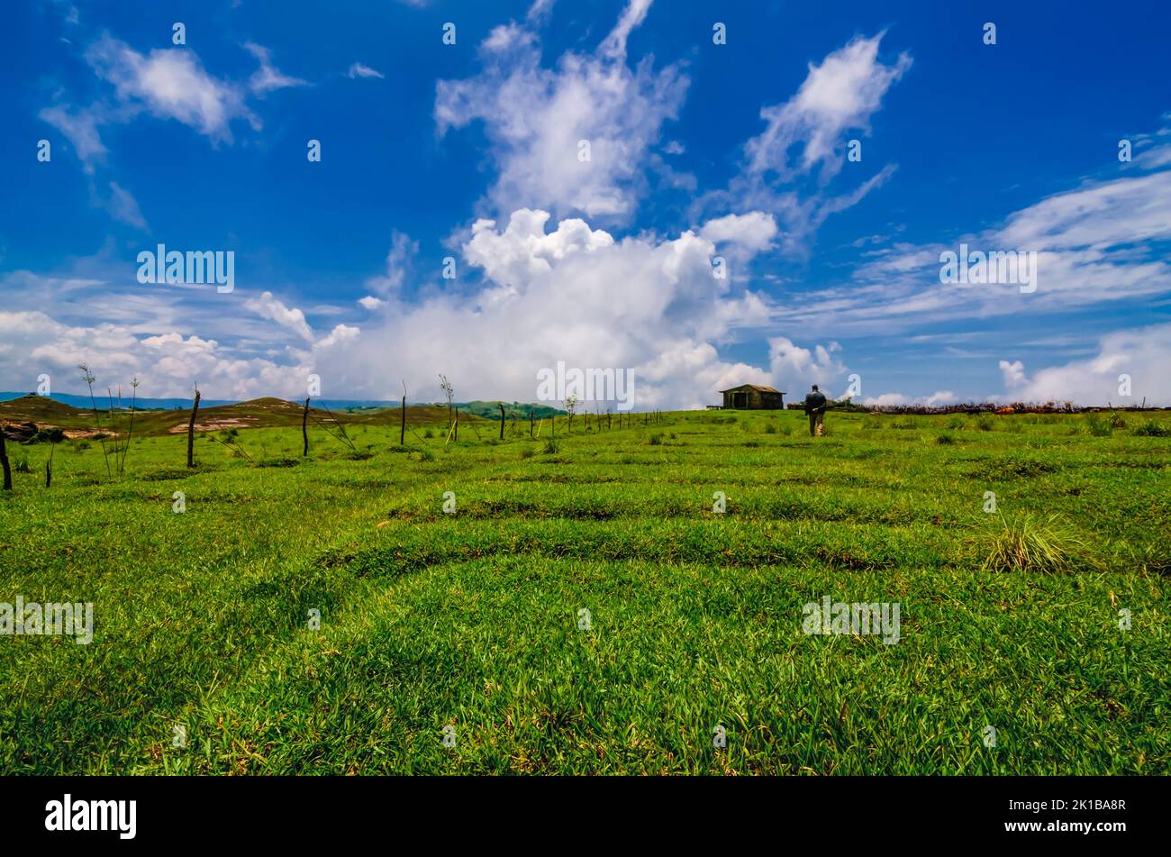 Meghalaya shillong road hi-res stock photography and images - Alamy