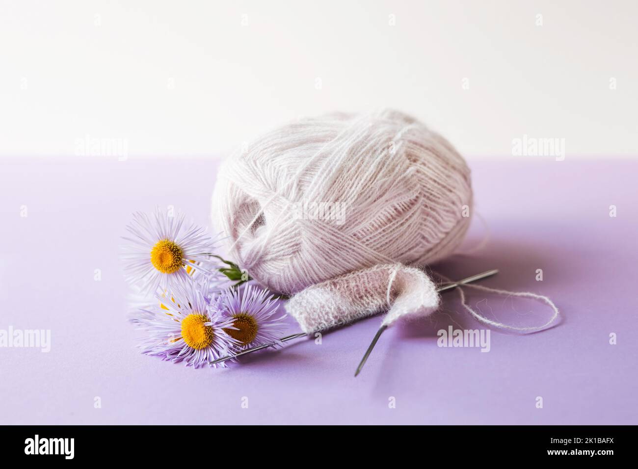 A soft pink ball of thread with knitting needles and purple erigeron ...