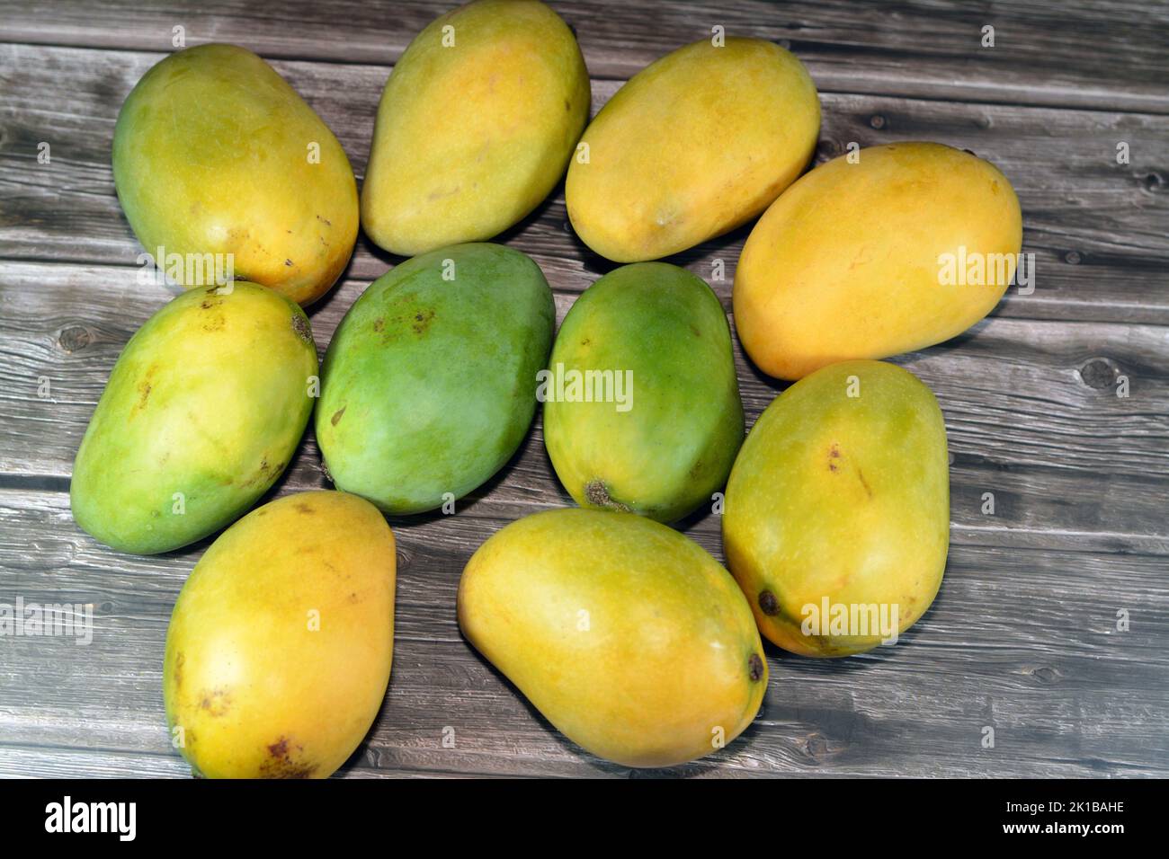 Pile of Egyptian fresh mango fruit with tropical delicacy, mangoes are ...