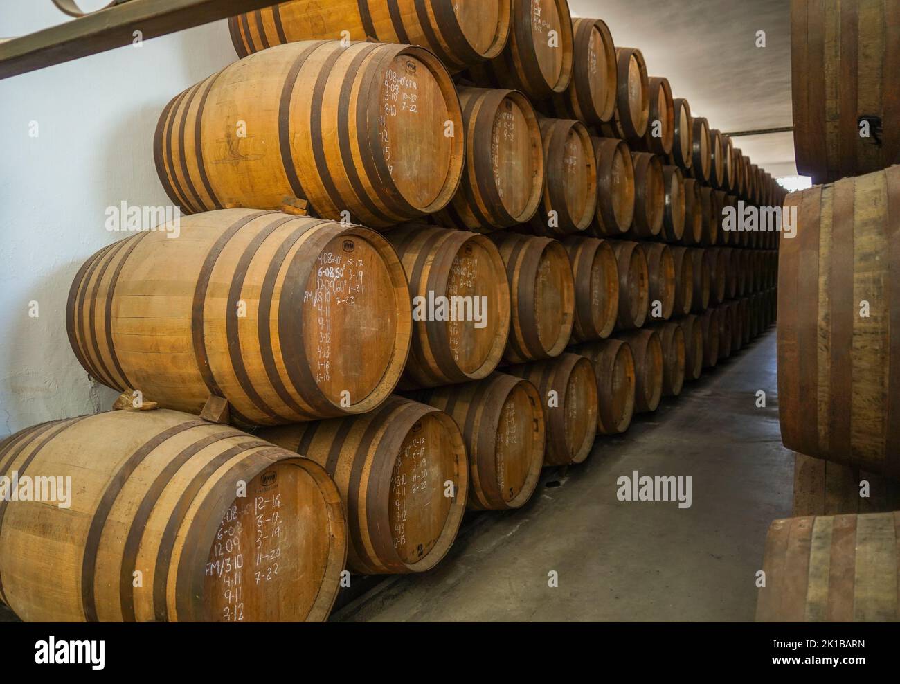 Wooden barrels in a cellar with rum, from Ron Montero, Motril ...