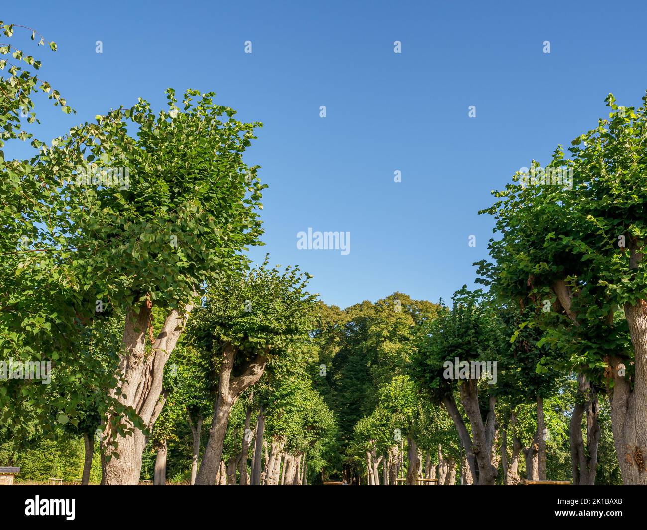at the castle of gemene Stock Photo - Alamy