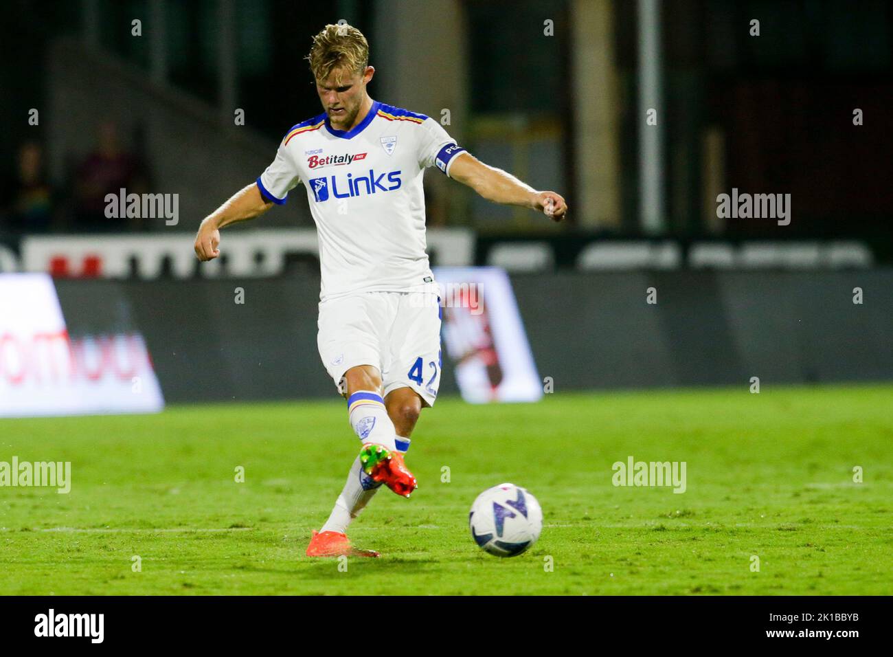 Hjulmand morten blom due hi-res stock photography and images - Alamy
