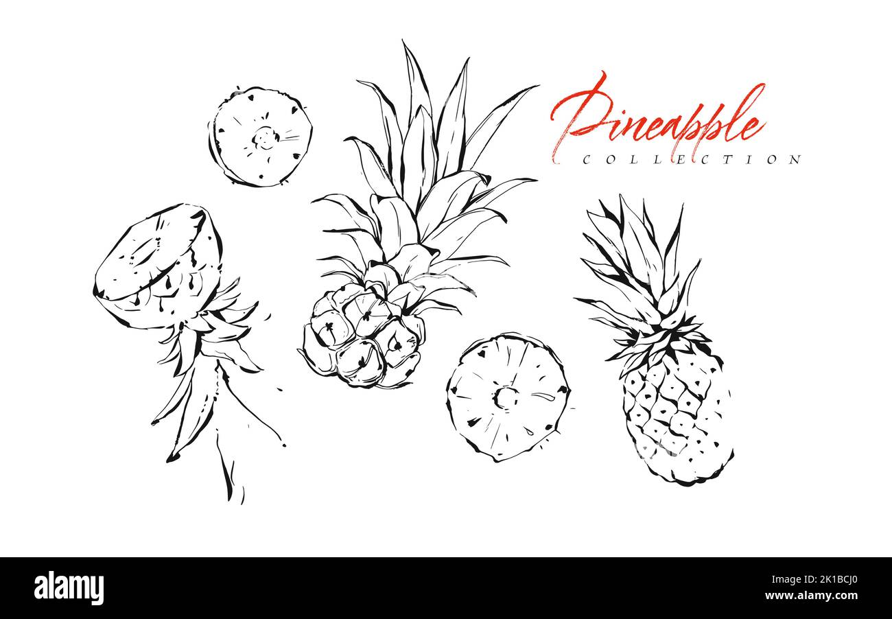 Hand drawn vector abstract exotic graphic ink textured tropical fruits ...