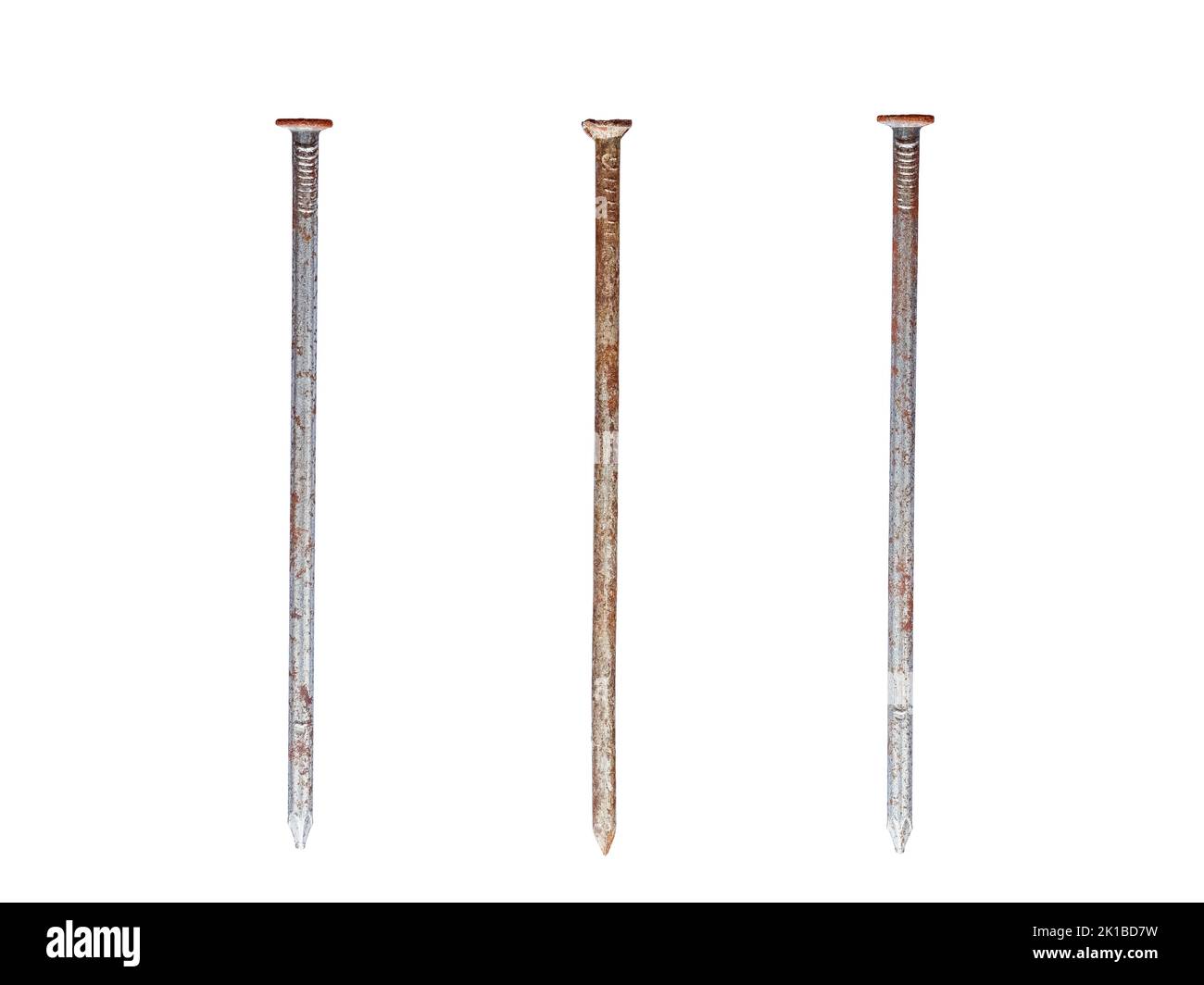 Three straight old rusty nails of equal length isolated on white ...