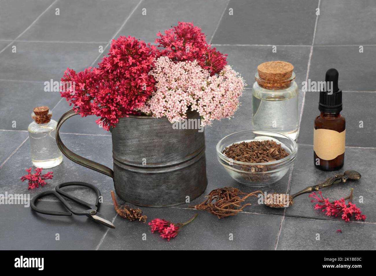 Valerian herb root with flowers and tincture oil bottles. Preparation ...