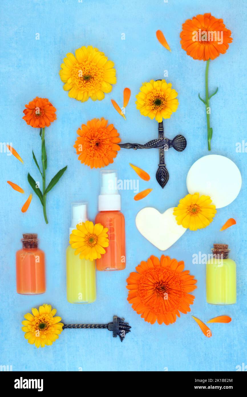 Calendula flowers for natural skincare products. Abstract natural ...