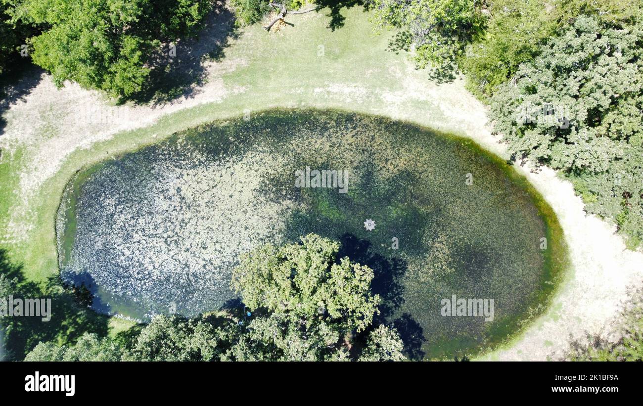 An aerial view of a small pond surrounded by trees and vegetation Stock ...