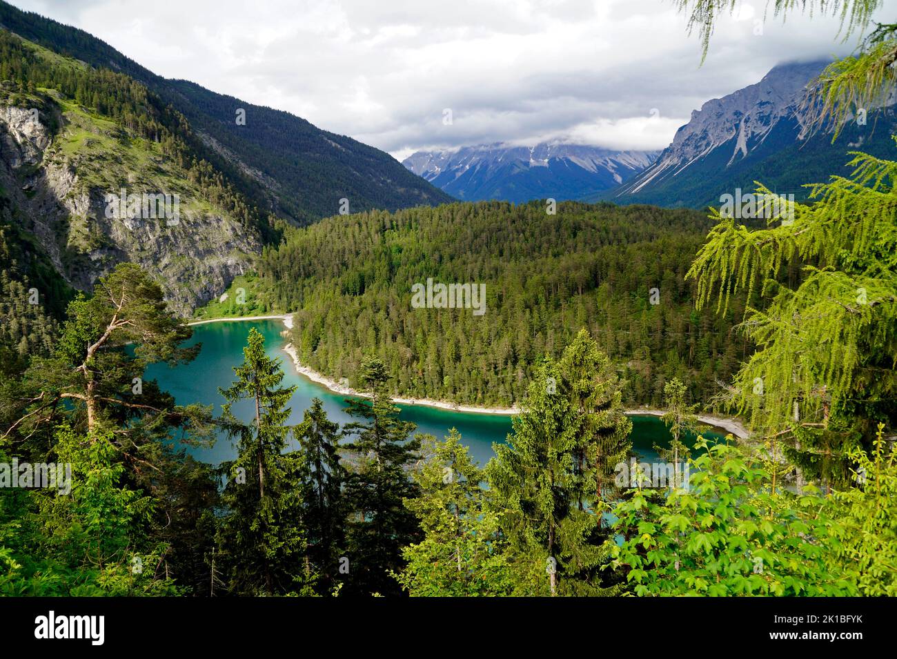 scenic emerald-green alpine lake Blindsee surrounded by lush green ...