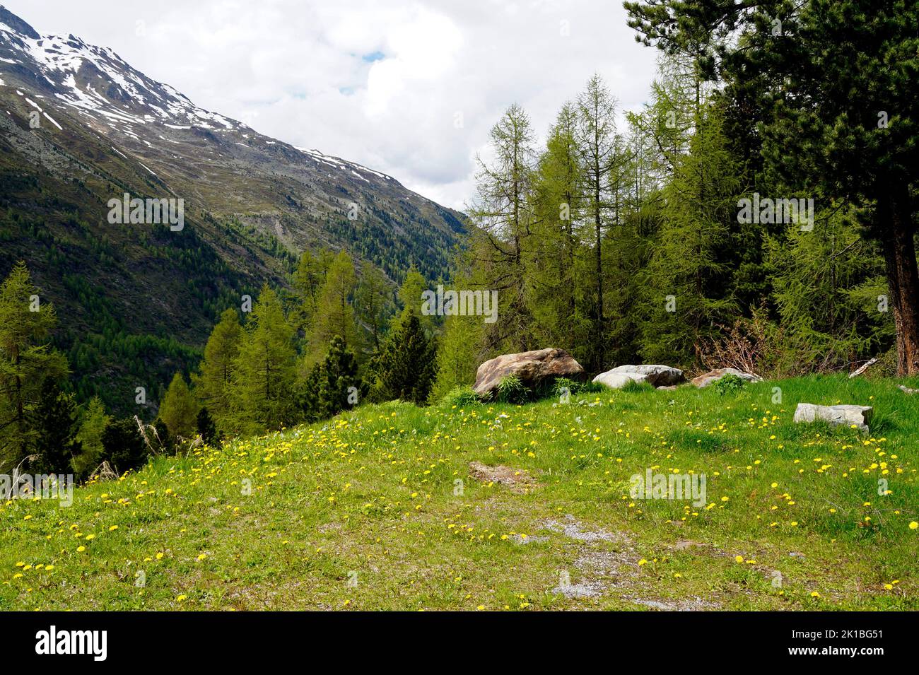 Scenic nature of the Timmelsjoch mountain pass connecting Oetztal ...