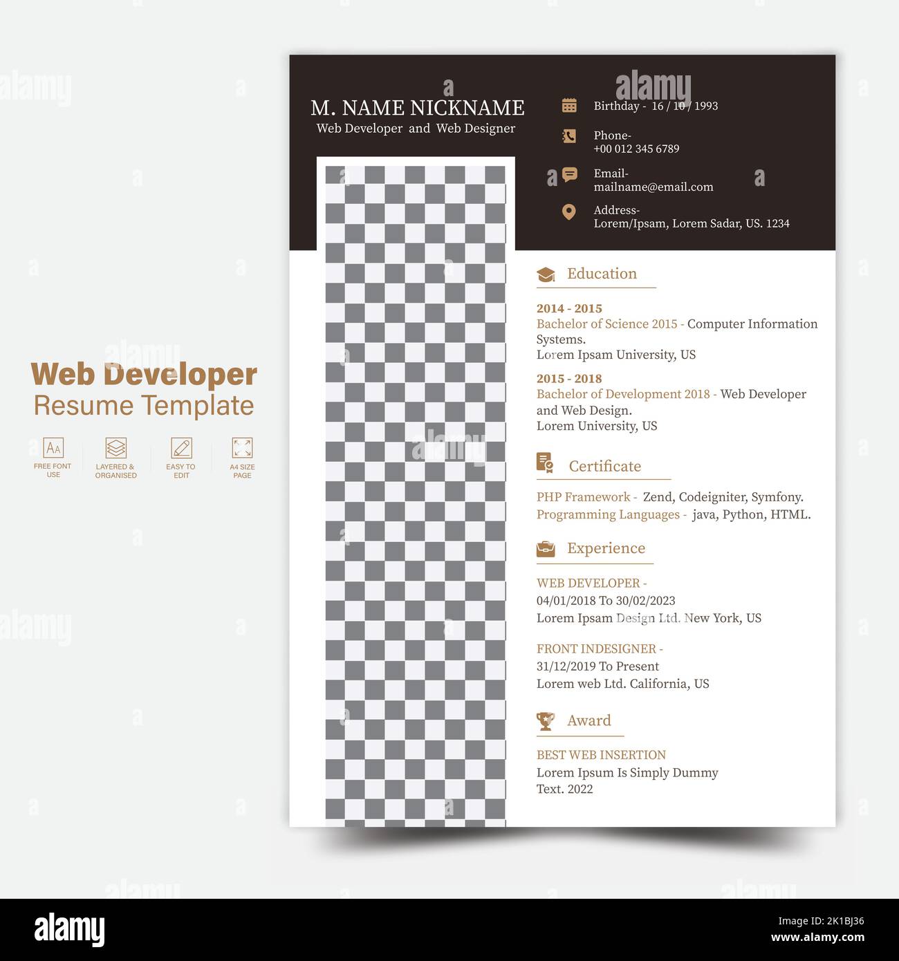 Web Developer Resume Template, CV design template for web designer ...