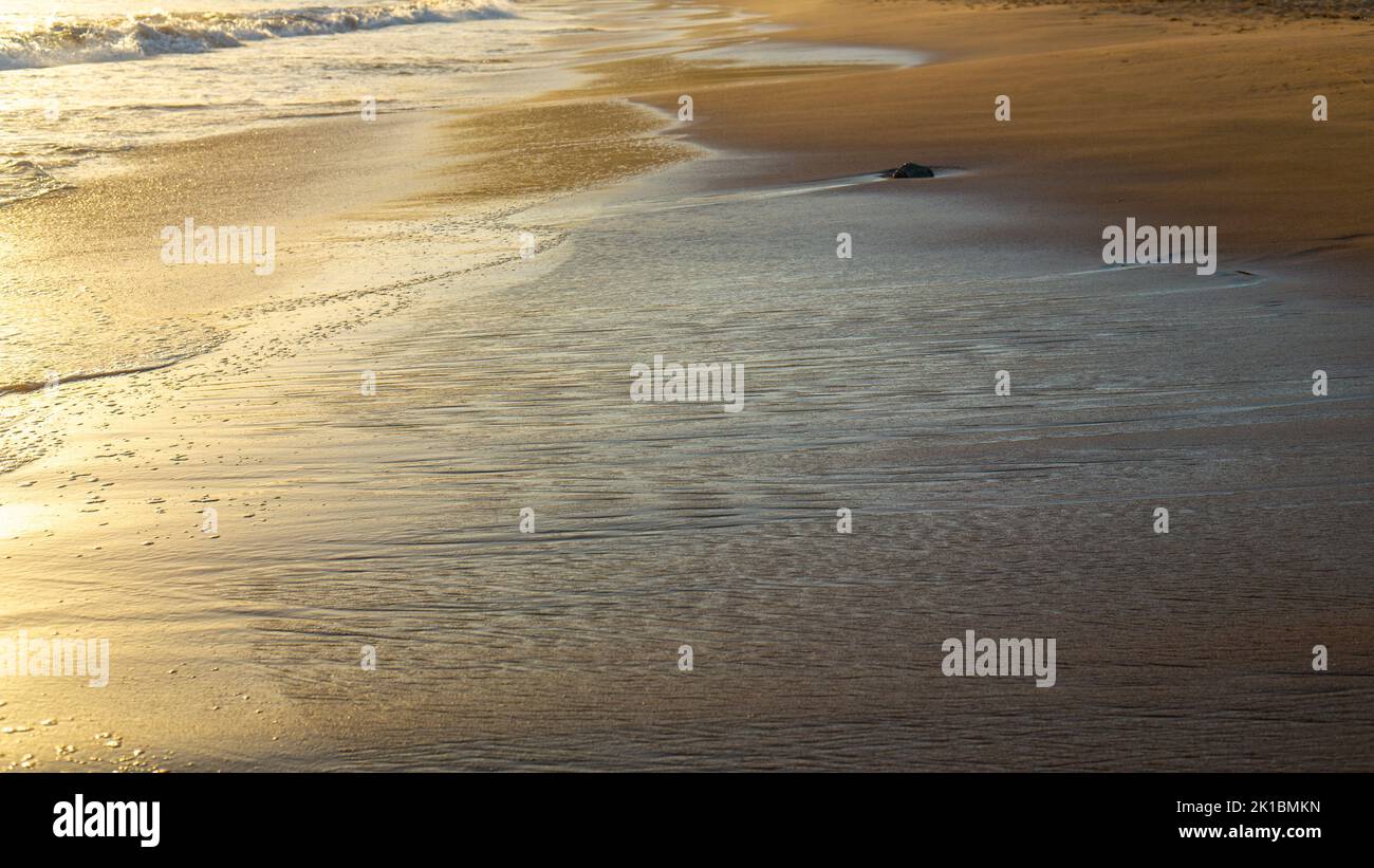 Soft grey ocean wave on sandy beach Stock Photo - Alamy
