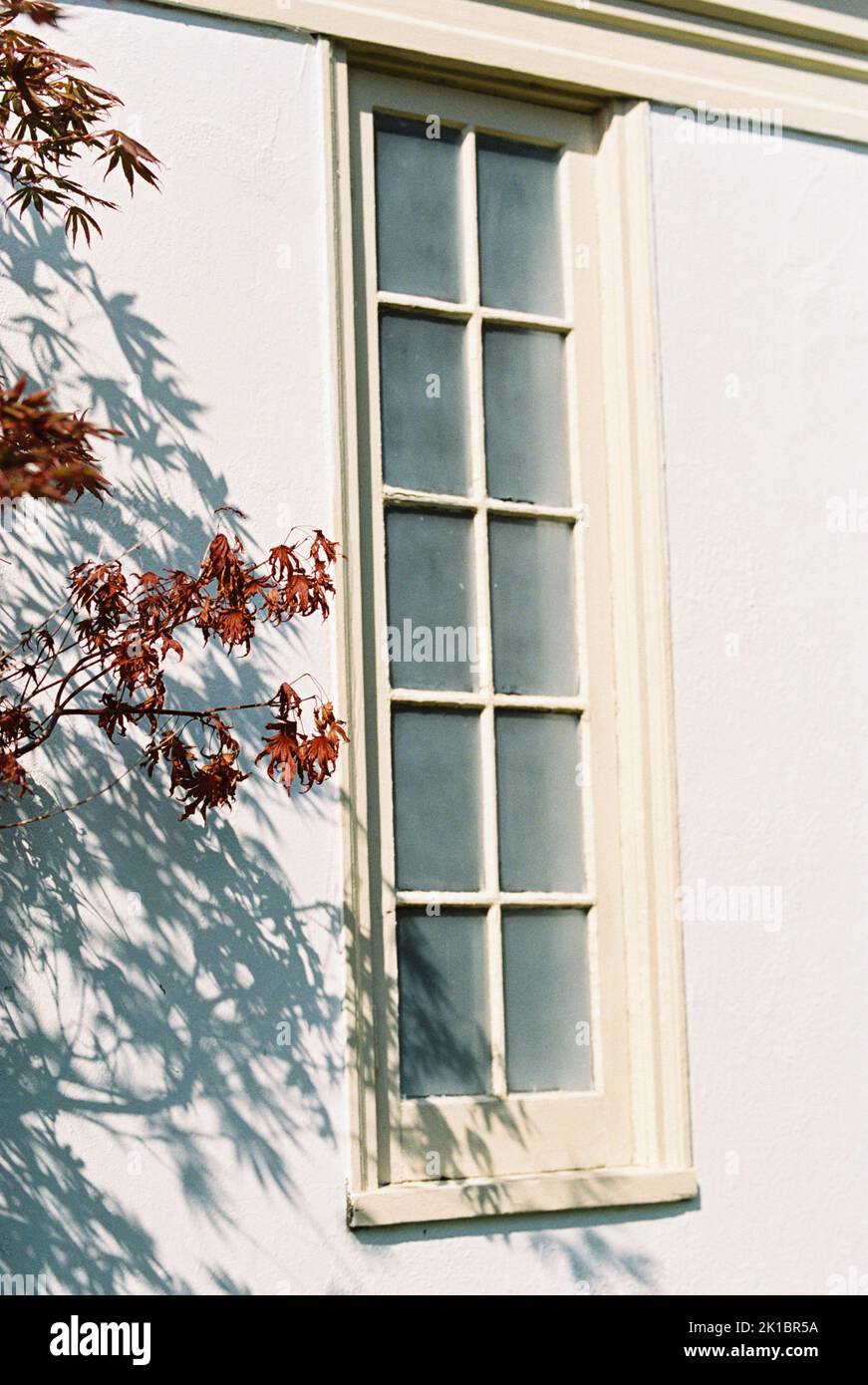 A vertical shot of a long wooden window of an old building in sunny ...