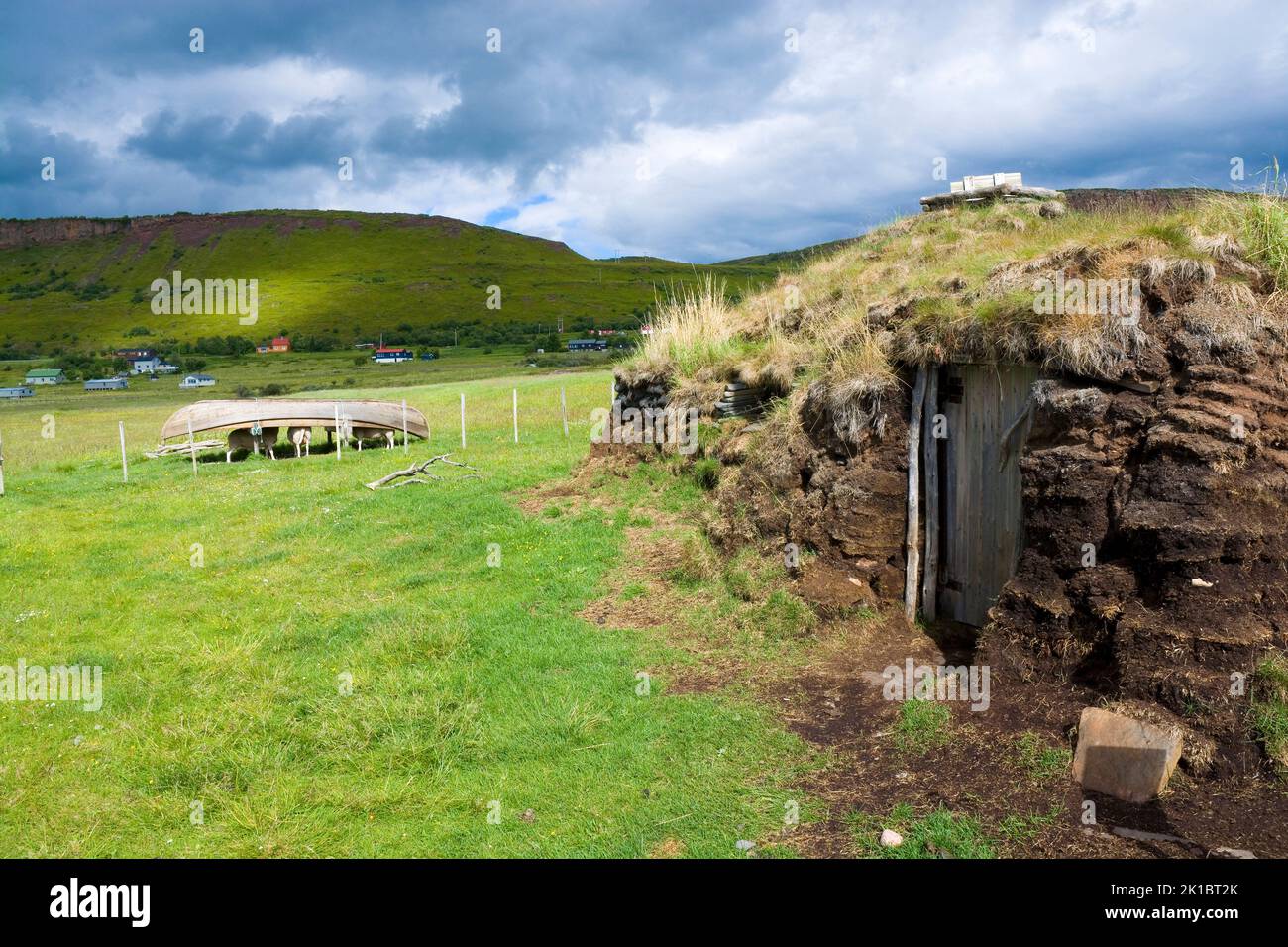 Sami turf hut and sheeps sheltered under wooden boat, Mortensnes ...