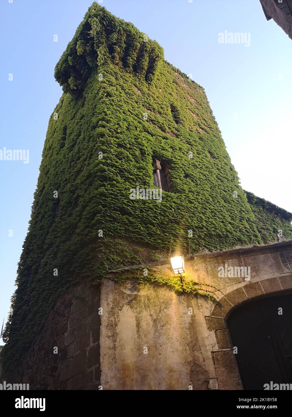 Ivy tower hi-res stock photography and images - Alamy
