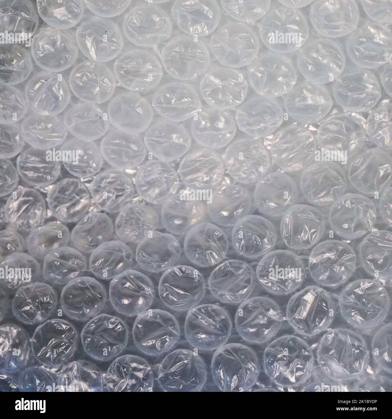 Bubble wrapper, close-up view, studio photograhy, France Stock Photo ...