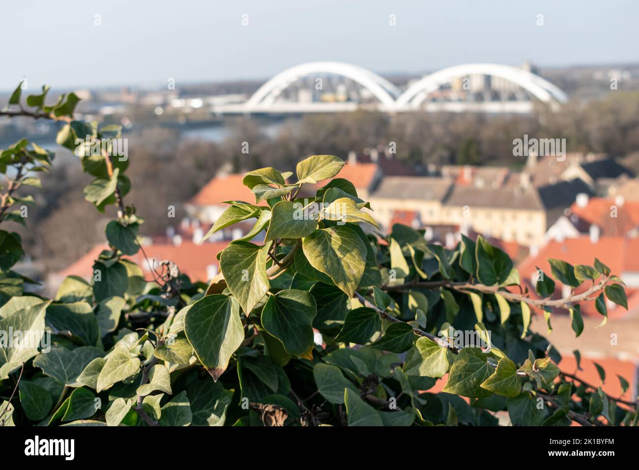 Zezeljev most, Novi Sad, Serbia Stock Photo - Alamy
