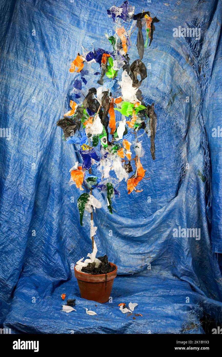 Plastic wrapped tree, conceptual studio photography, Lyon, France Stock ...