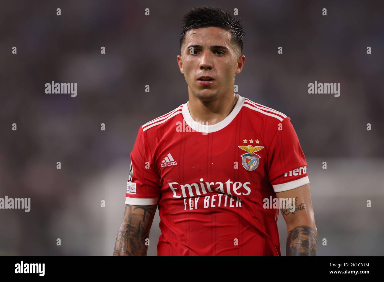 Enzo fernandez champions league hi-res stock photography and images - Alamy