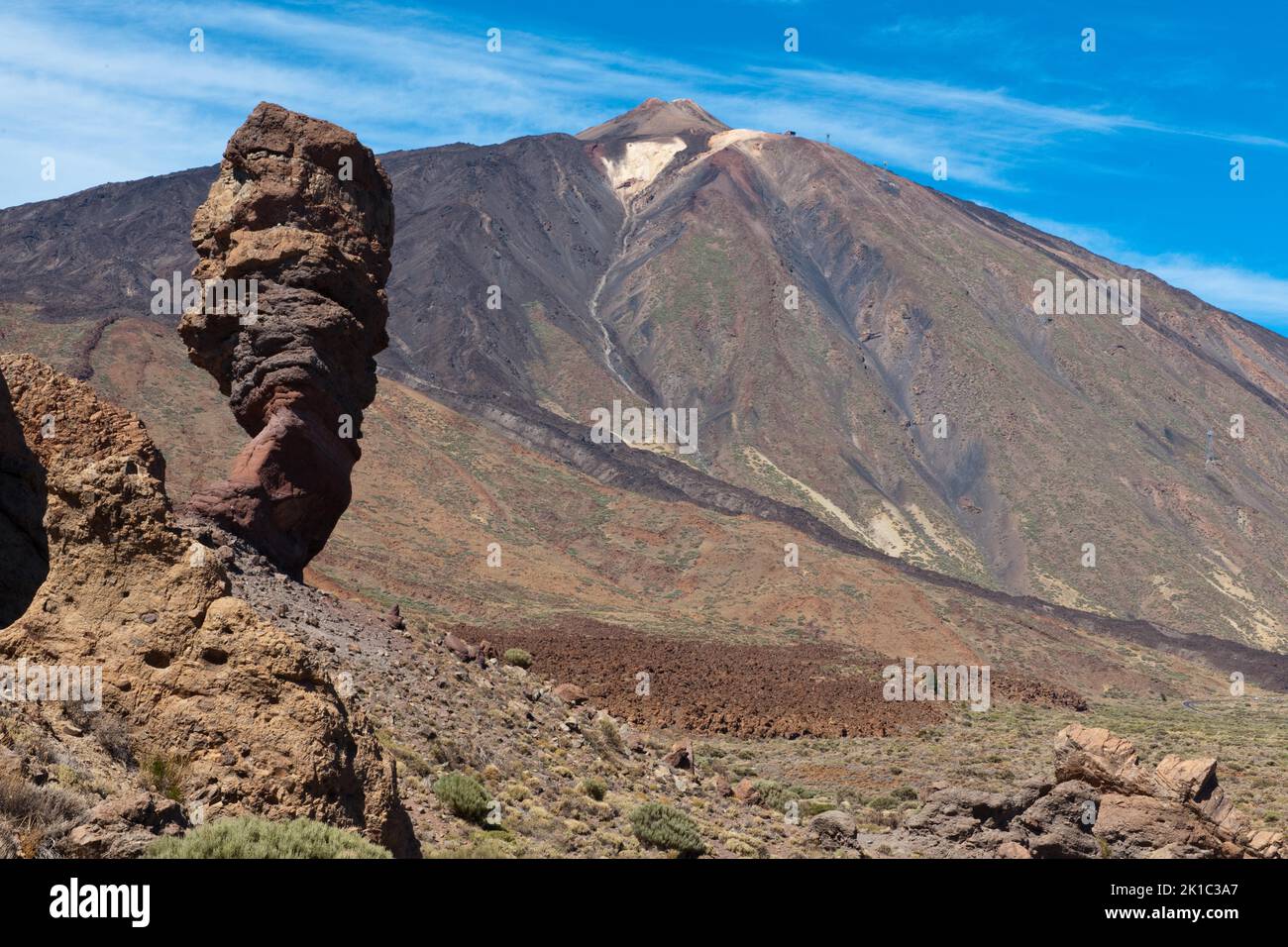 Left flank hi-res stock photography and images - Alamy