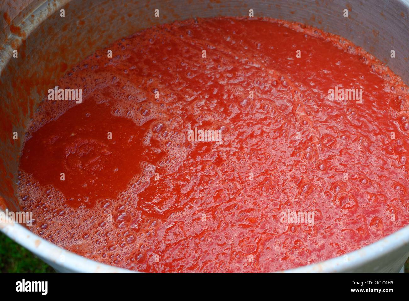 Classic handmade tomato collecting and puree with ancient metal press ...
