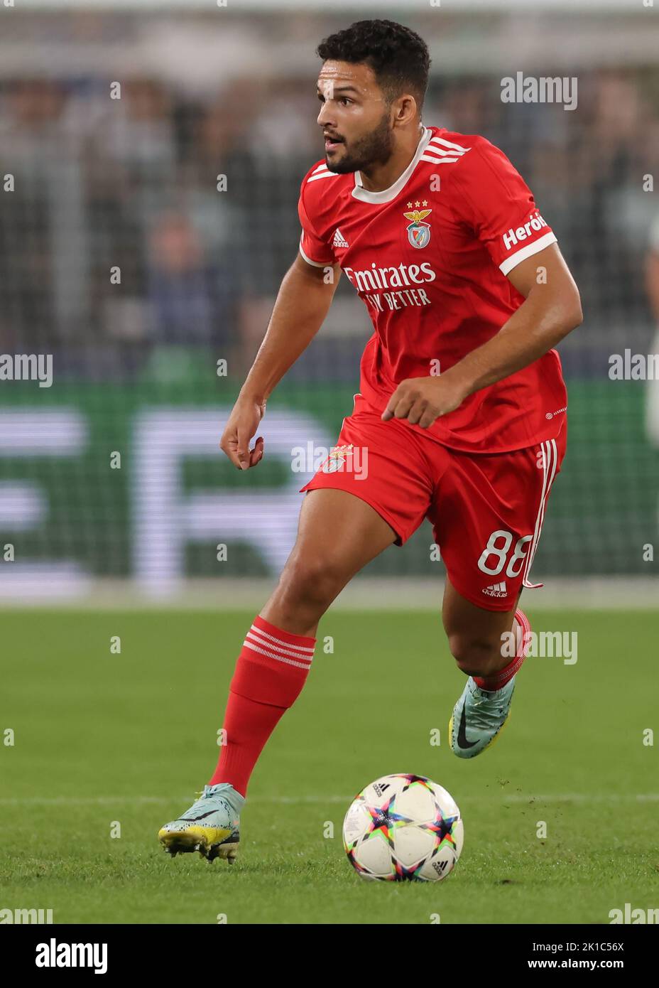Turin, Italy, 14th September 2022. Goncalo Ramos of SL Benfica during ...