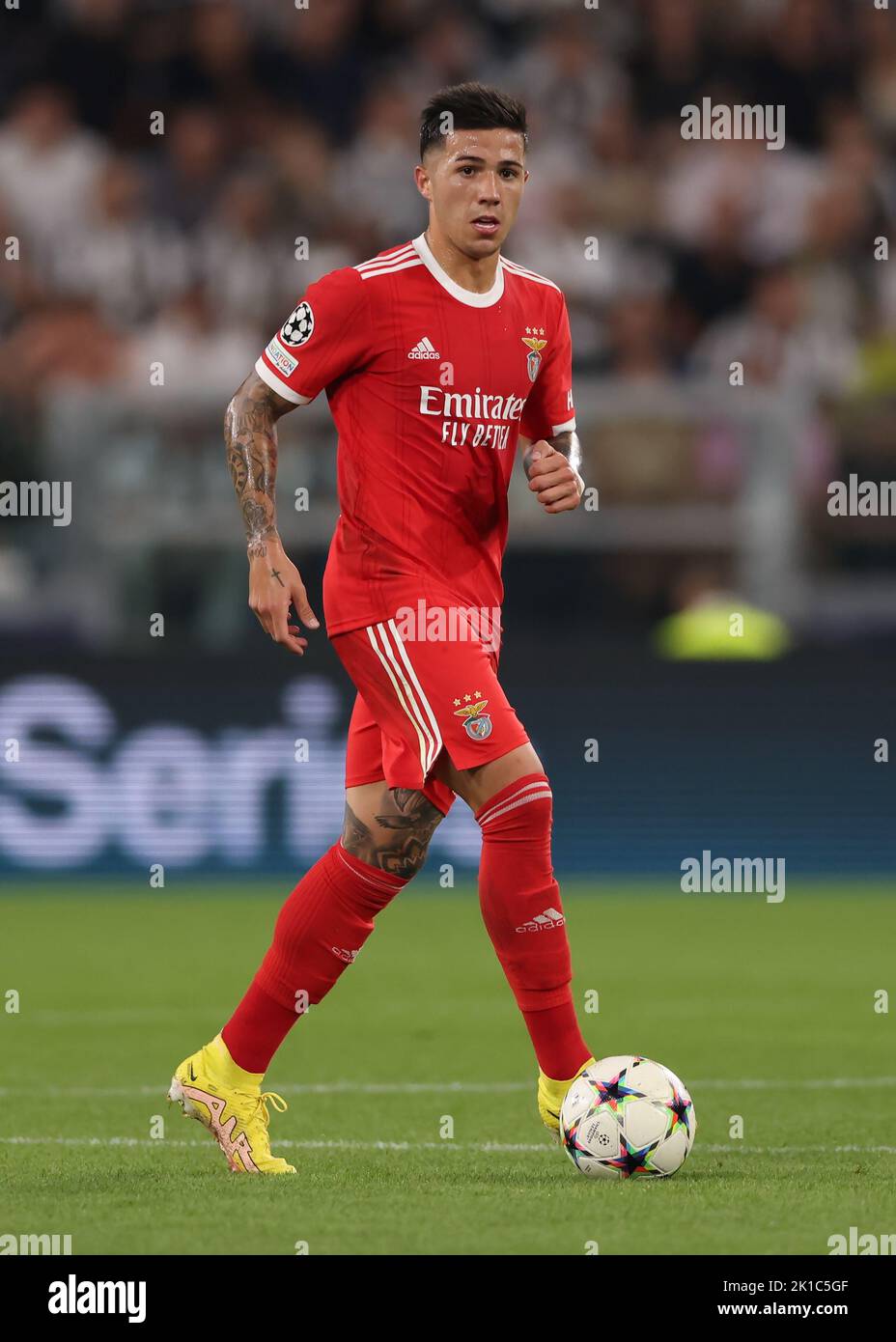 Turin, Italy, 14th September 2022. Enzo Fernandez of SL Benfica during ...
