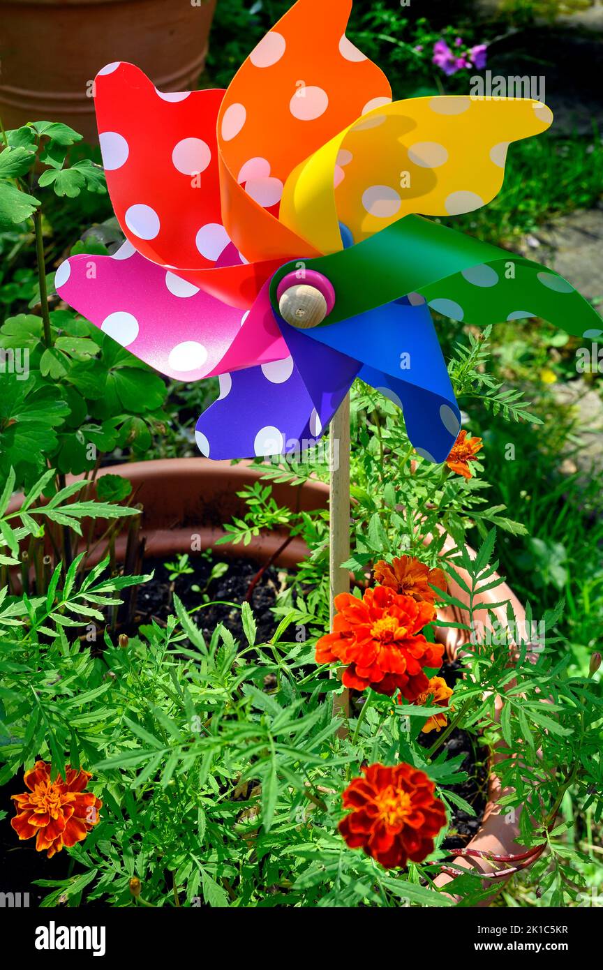Windmill with flowers. Bavaria, Germany Stock Photo - Alamy