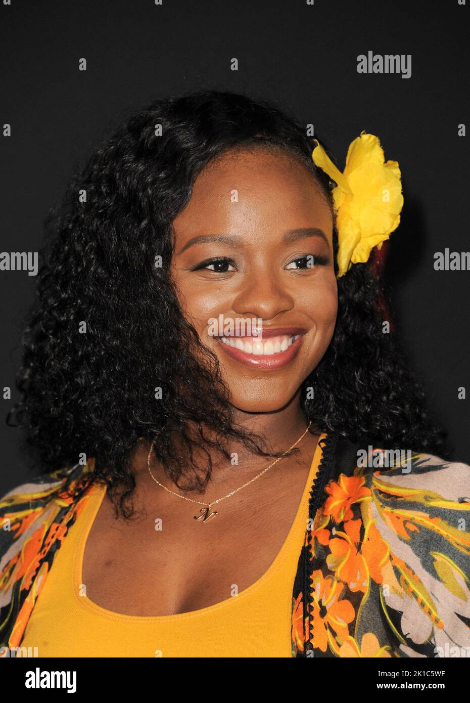 Netflix tudum theater hi-res stock photography and images - Alamy