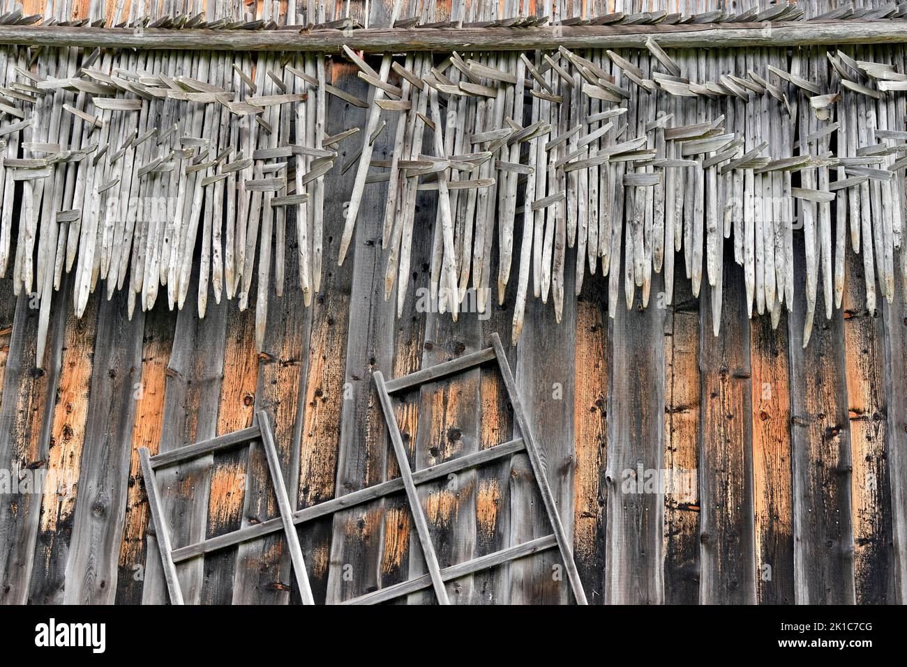 Shed wall with suspended hay riders (Heinzen) and stacked firewood ...