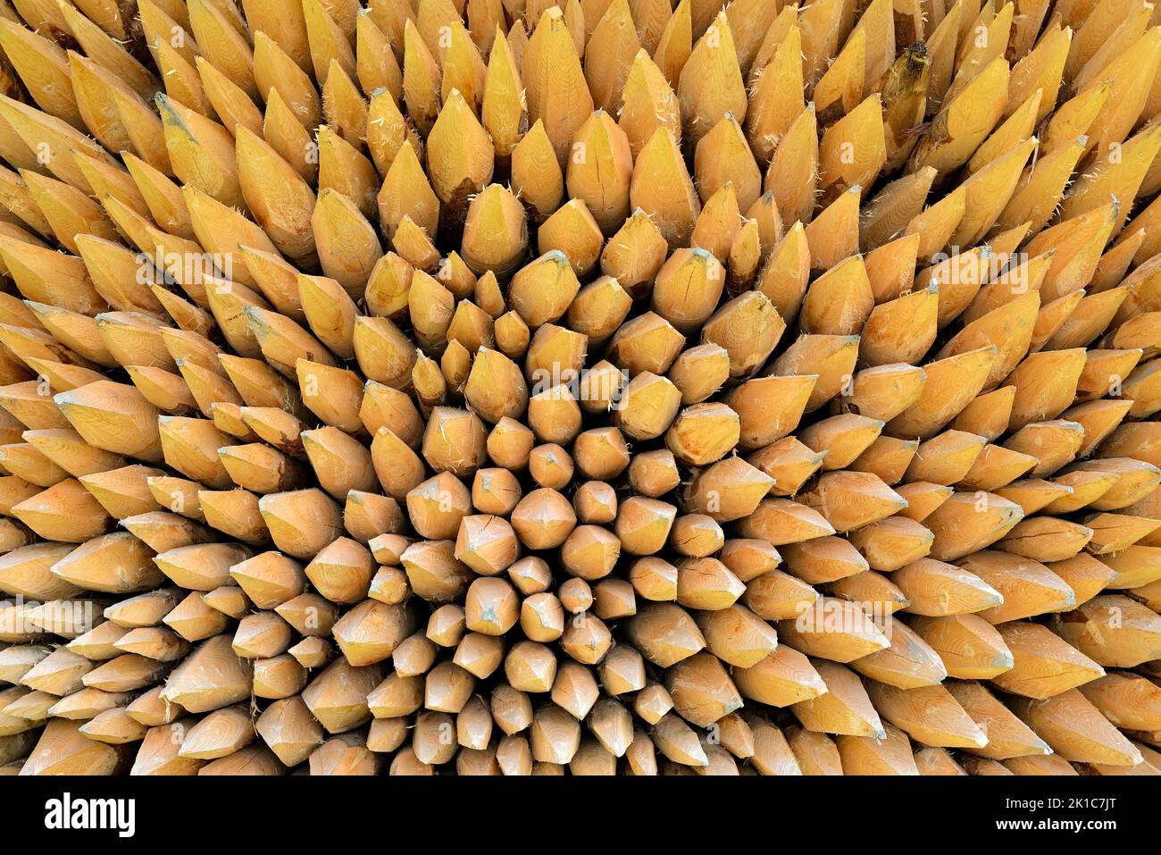 Stacked fence posts with sharpened ends, Bavaria, Germany Stock Photo ...