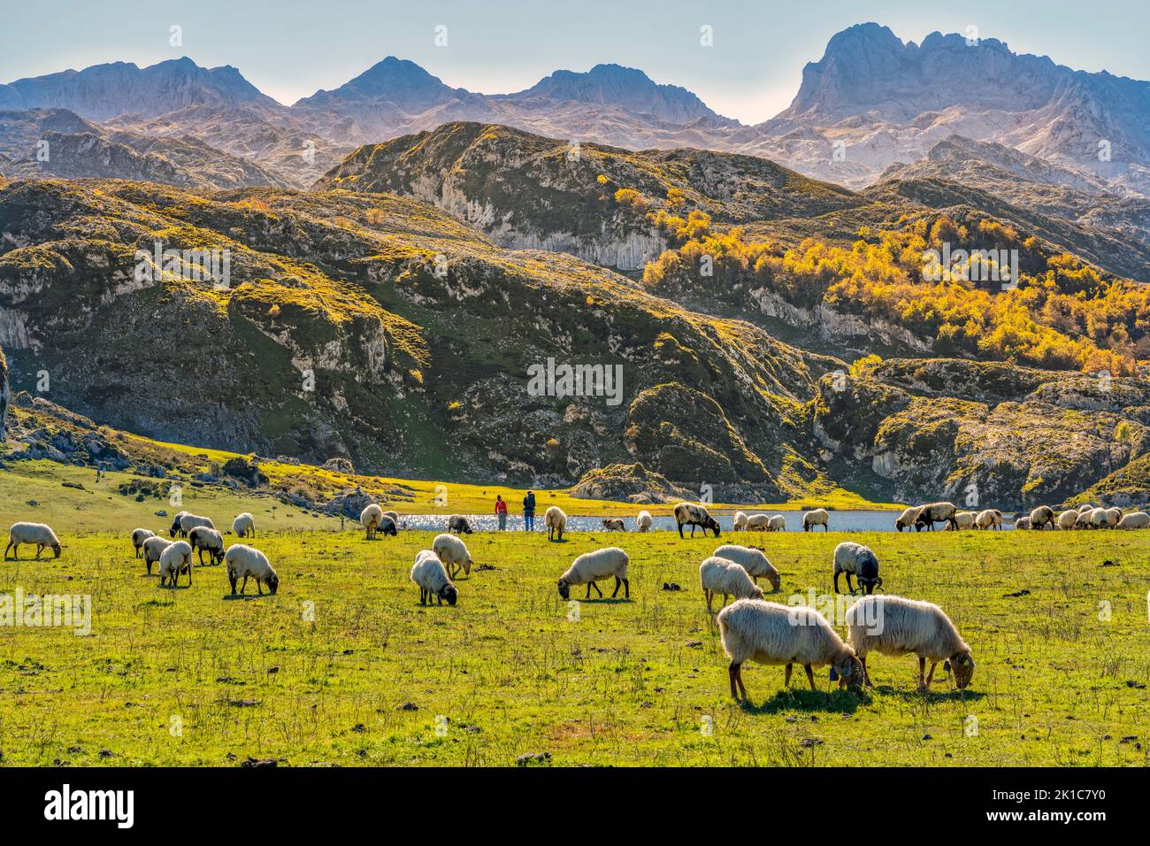 Picos national park hi-res stock photography and images - Alamy