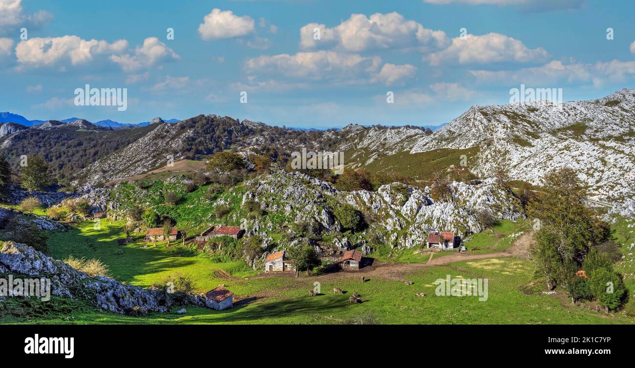 Picos national park hi-res stock photography and images - Alamy