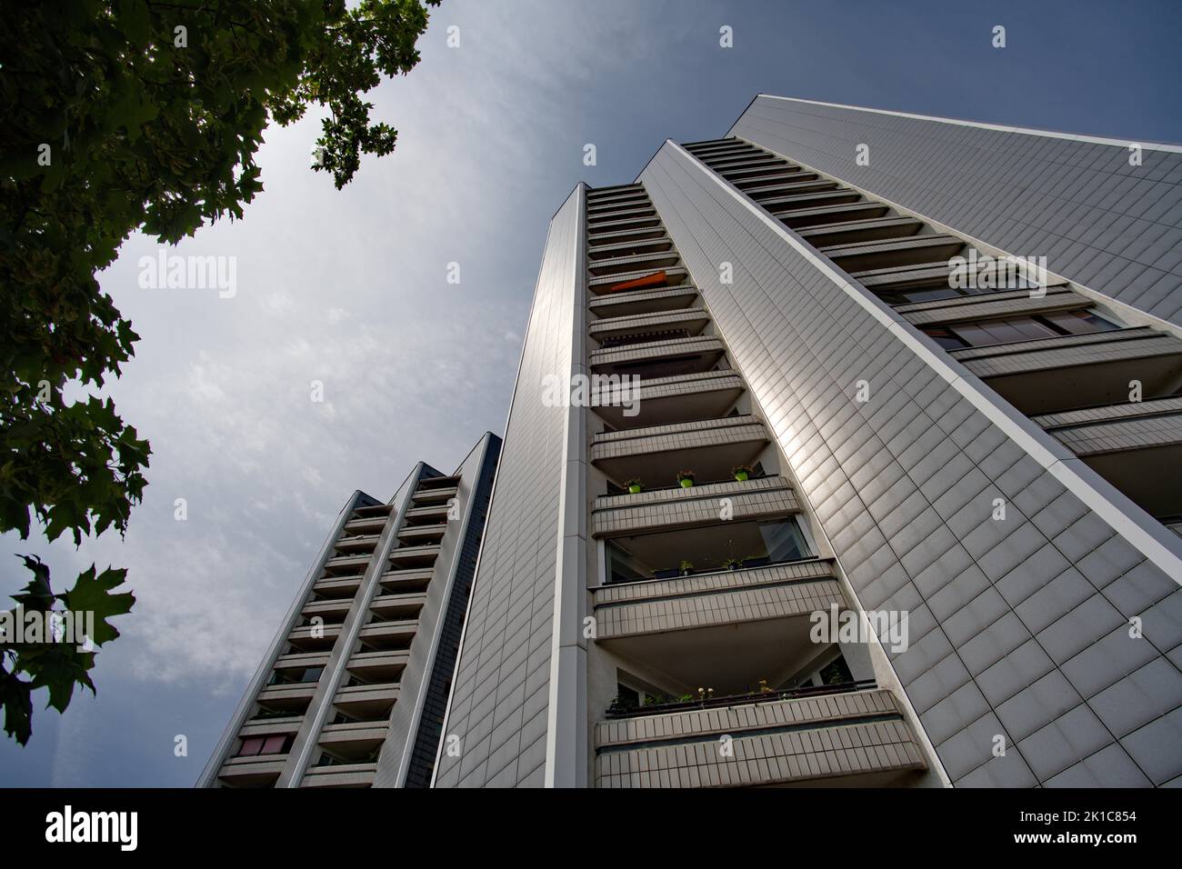 Skyscrapers and the branch of a tree on Marzahner Promenade, Marzahn ...