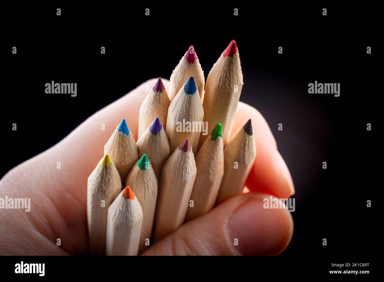 Variety of colors vector set of colored pencils. Drawing and painting ...