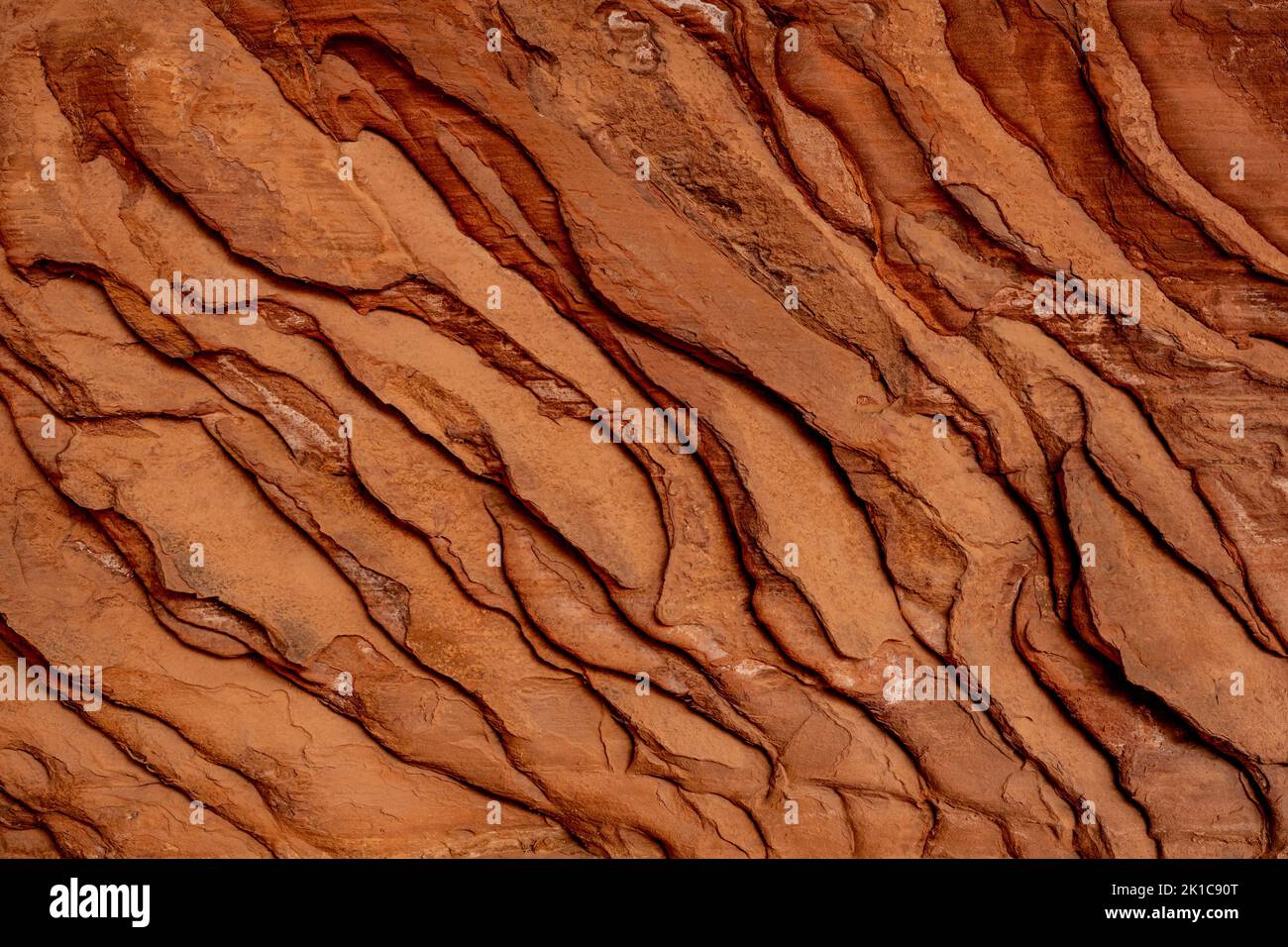 Sandstone Ripple Texture Horizontal Background Image in Canyonlands ...