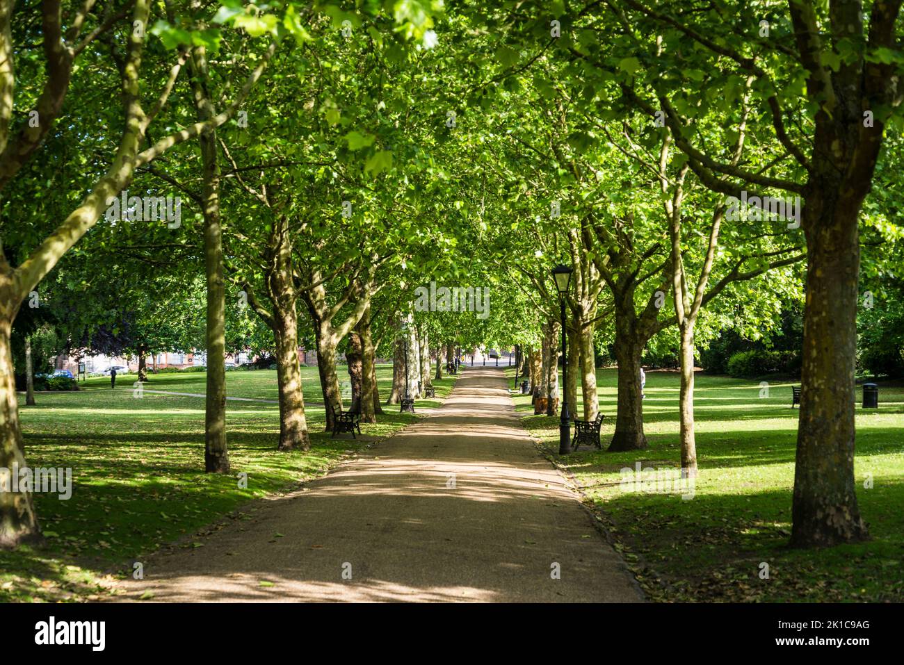 The Vines - a Well-kept, serene green space used as a setting in ...