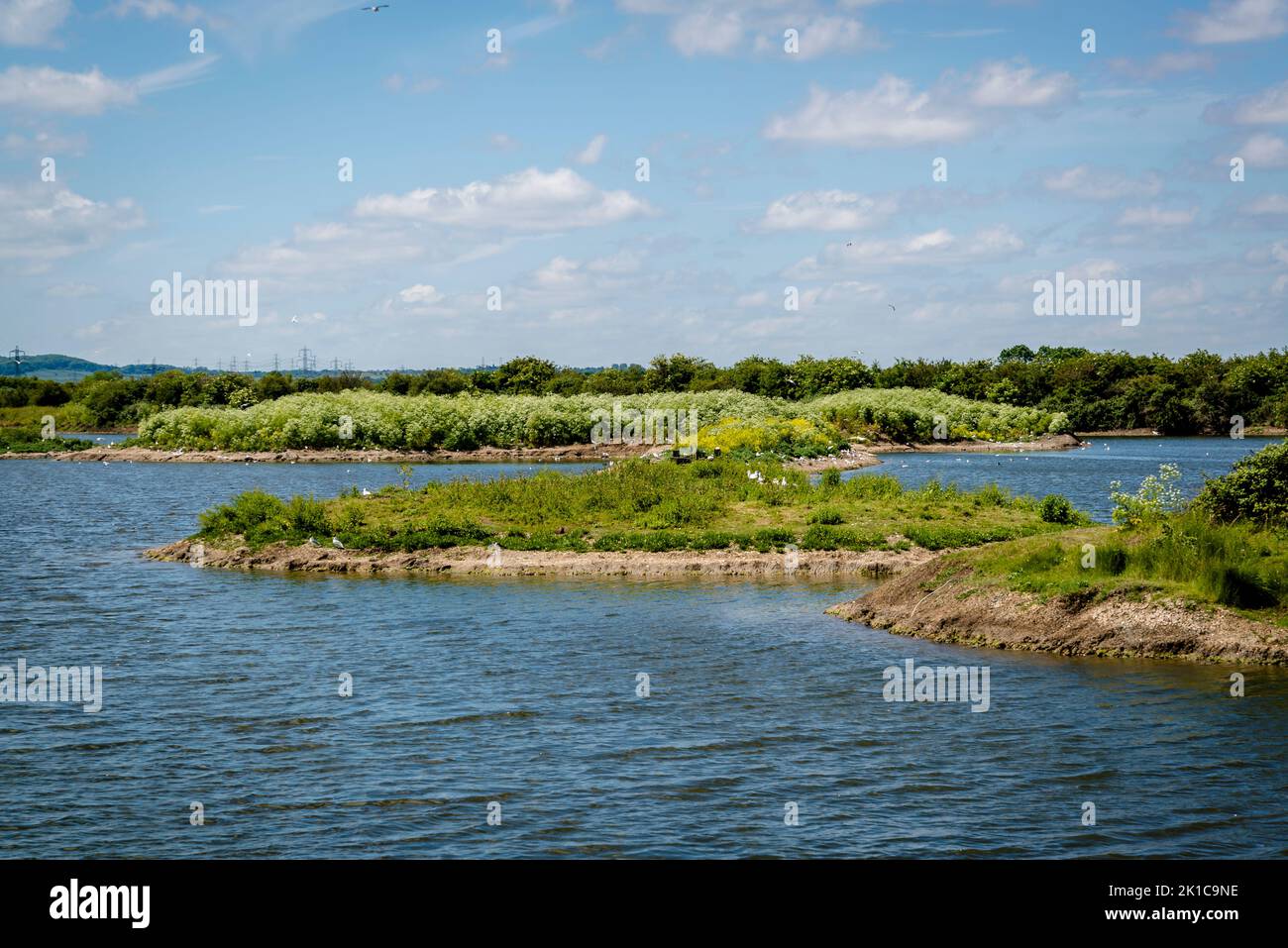 RSPB Nature reserve Cliffe Pools, Kent, England, UK Stock Photo - Alamy