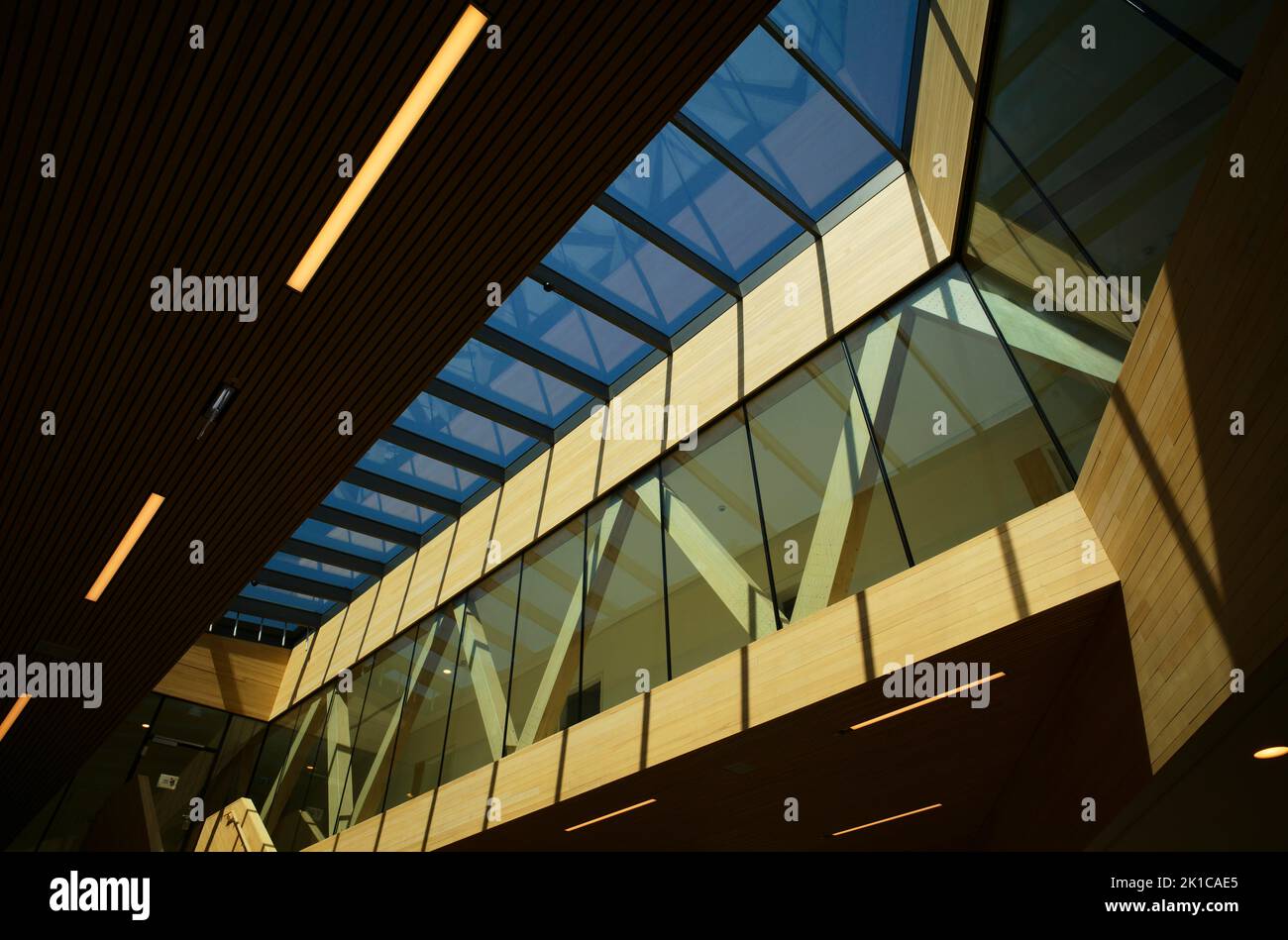 Foyer, Northern Black Forest nature Park Centre, Ruhestein, Black ...