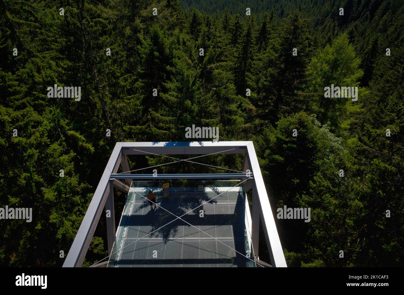 Skywalk, viewing platform, Northern Black Forest nature Park Centre ...