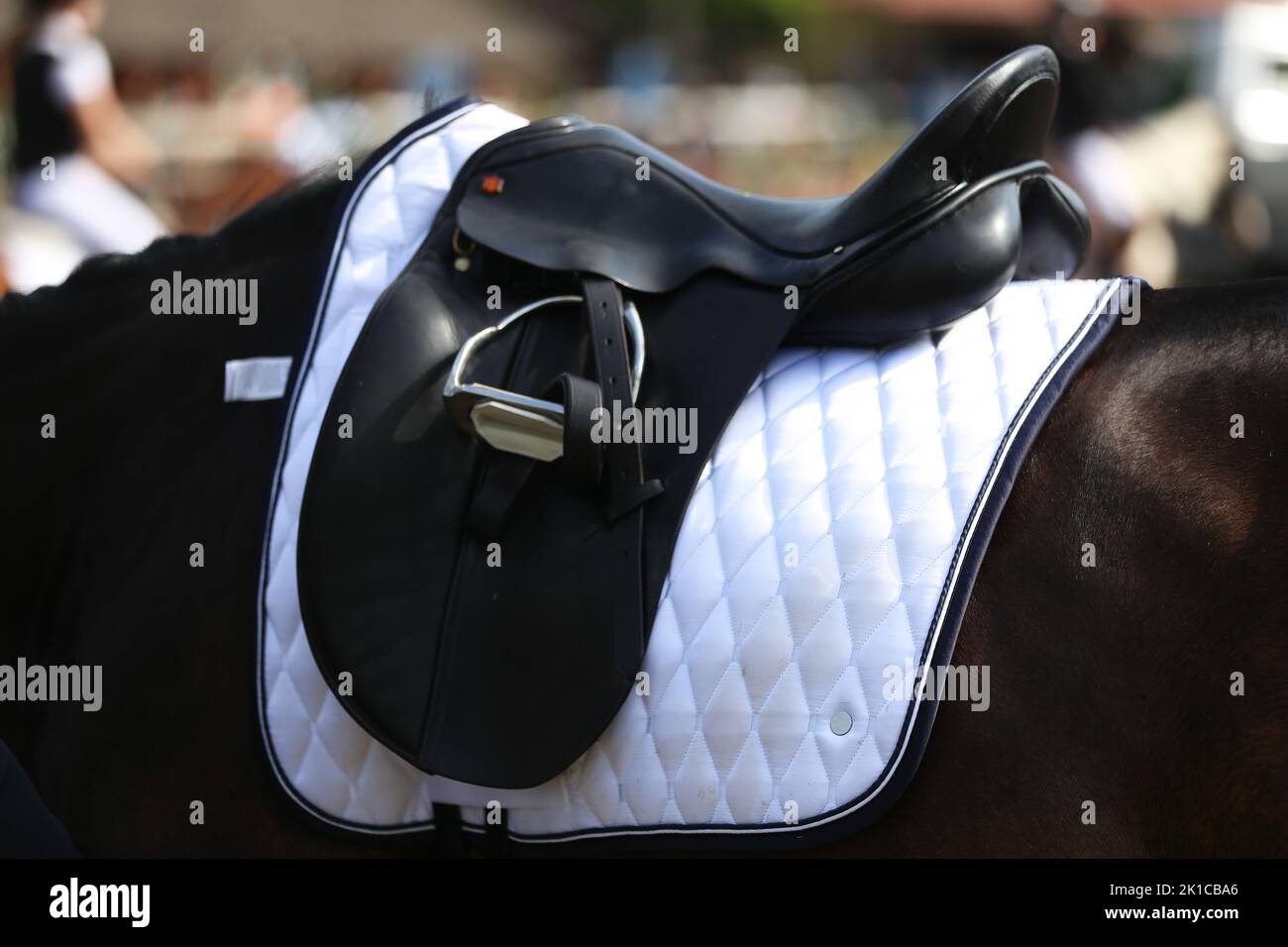 Close up of a sport horse saddle. Quality classical leather saddle ...