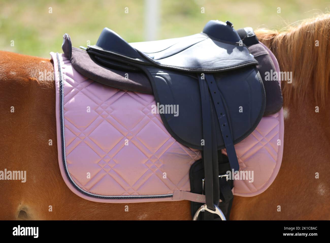 Close up of a sport horse saddle. Quality classical leather saddle ...