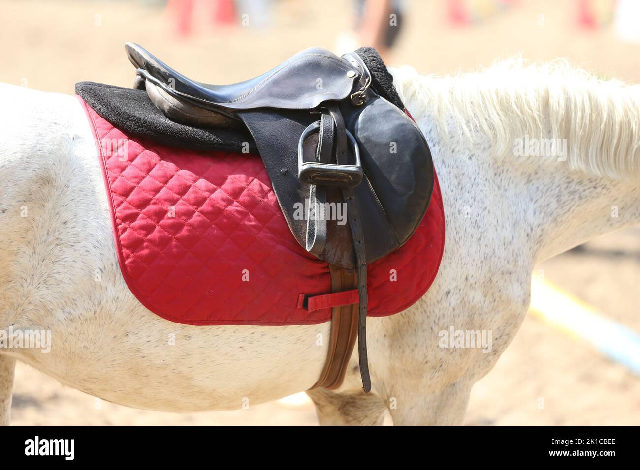 Close up of a sport horse saddle. Quality classical leather saddle ...