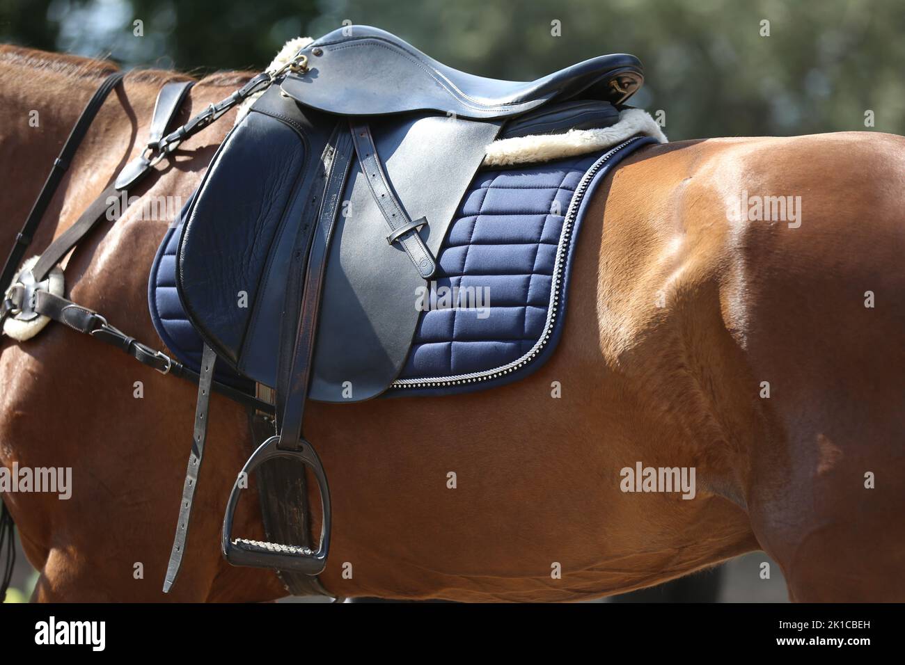 Close up of a sport horse saddle. Quality classical leather saddle ...