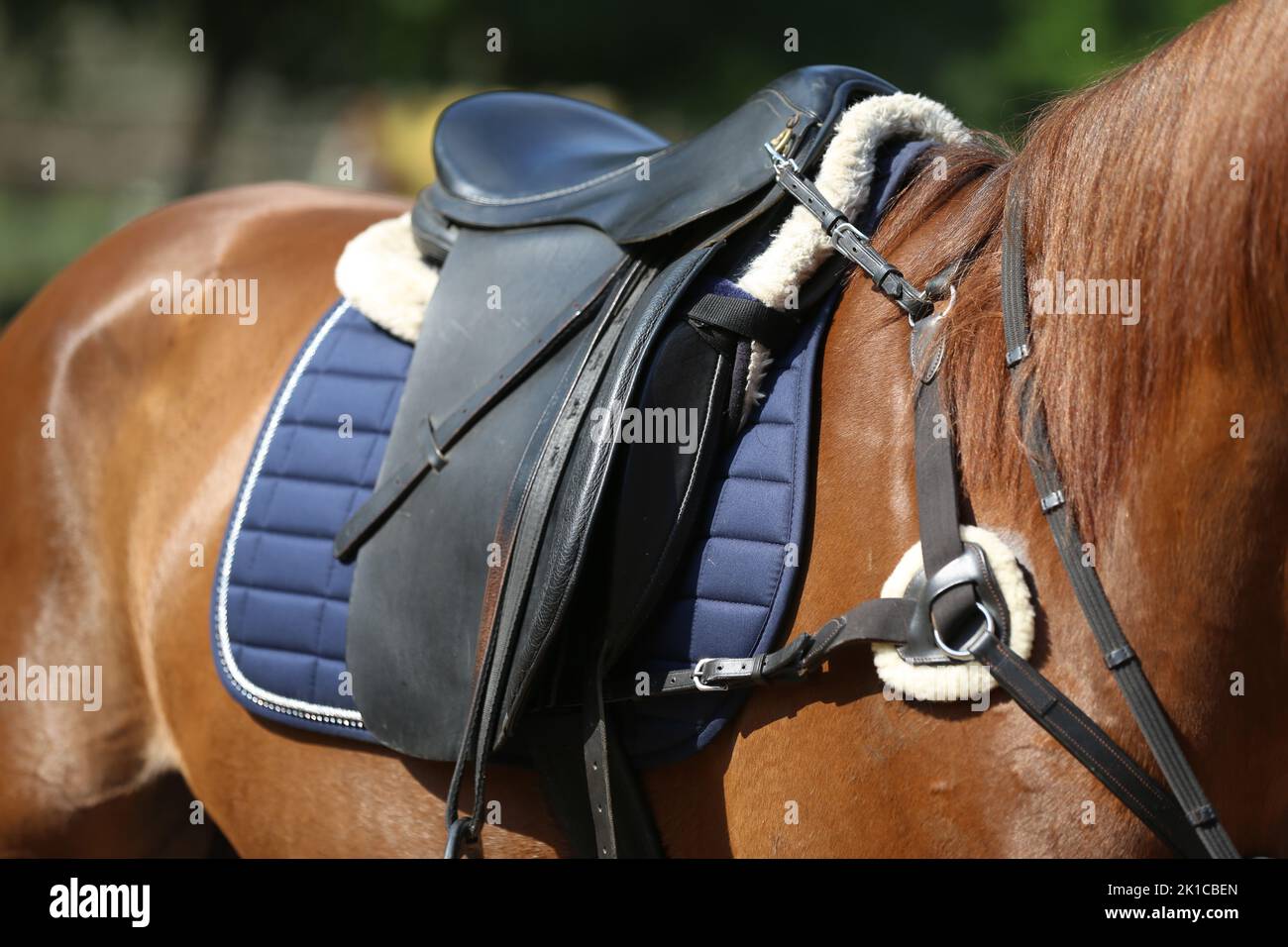Close up of a sport horse saddle. Quality classical leather saddle ...
